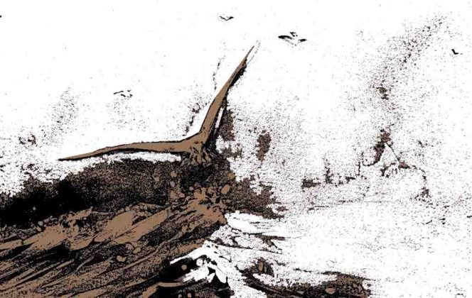 Cerpen: Dialog Senja antara Lautan, Pantai dan Angin | Riau Sastra